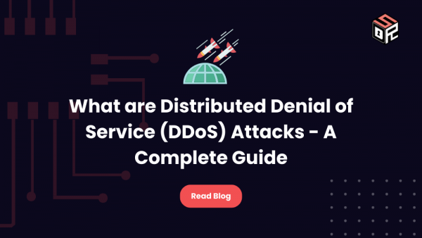 What is a DDoS Attack - A Complete Guide - Blog