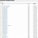 Gunra Ransomware Group Claims Massive Breach at American Hospital Dubai - Security Spotlight